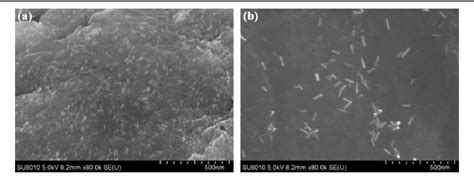 Figure 1 From The Preparation And Characterization Of Sno2 Rgo Nanocomposites Electrode