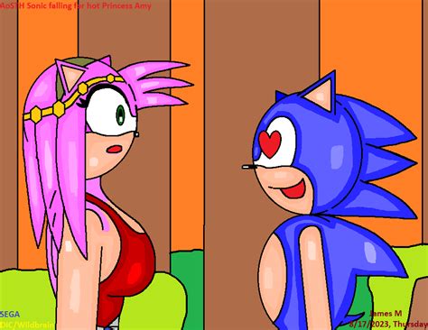 Aosth Sonics Crush On Hot Princess Amy By Cvgwjames On Deviantart