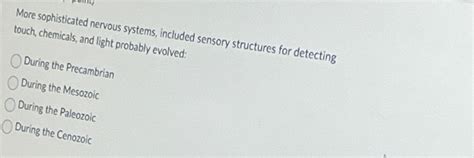 Solved More Sophisticated Nervous Systems Included Sensory