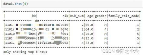 Pandas，polars，pyspark的df对象常见用法对比 Csdn博客