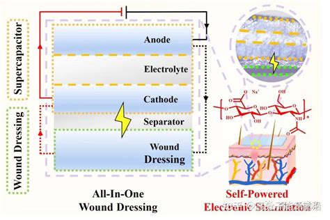 医工结合：兰州理工国家重点实验室冉奋《cej》全水凝胶基自供电伤口敷贴 知乎