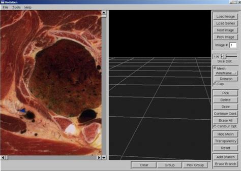 Surface Generation From Planar Contours