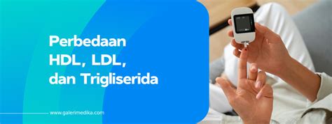 Perbedaan Hdl Ldl Dan Trigliserida Galeri Medika Perbedaan Hdl Ldl Dan Trigliserida Galeri Medika