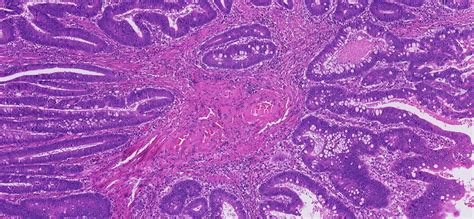 Cellnetix Selects Proscia To Deliver New Standard Of Excellence In