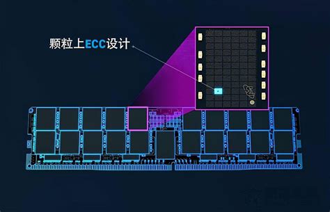 内存ddr5和ddr4的区别是什么？ddr4和ddr5内存的性能差距对比频率