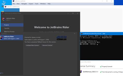 Resharper2025中文激活版2025 1 2 0正式版 423down