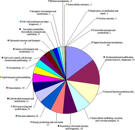 kog function classification the unigenes were aligned to the kog
