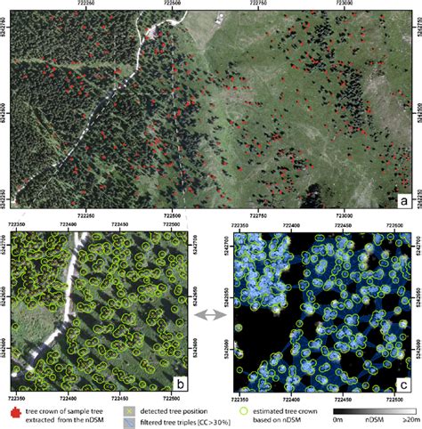 Tree Crown Estimation Based On The Ndsm A Extracted Sample Tree Download Scientific Diagram