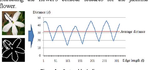 mobile based flower recognition system semantic scholar