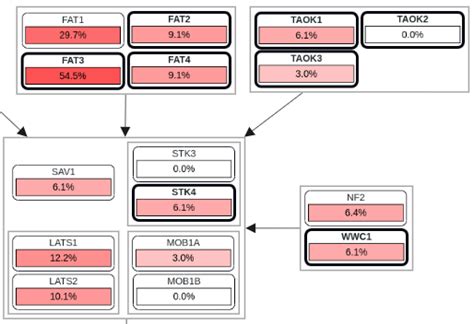 Issues With Alteration Frequency And Profiled Cases Counting In The