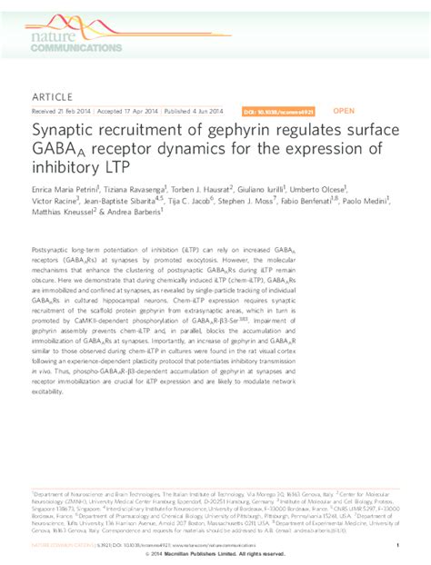 Synaptic Recruitment Of Gephyrin Regulates Surface Gabaa Receptor Dynamics For The Expression Of