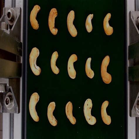 Nuttin Object Detection Model By Nuttin