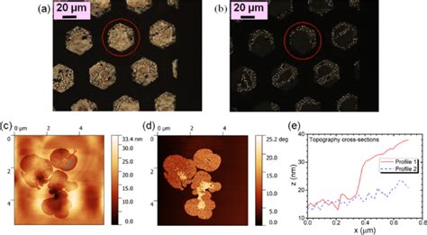 Optical Microscopy Images A In Transmission With A Parallel Download Scientific Diagram