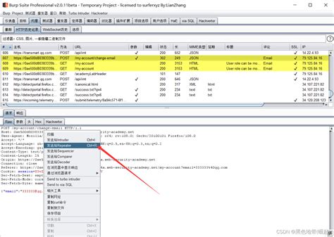 【burpsuite安全练兵场 服务端7】访问控制漏洞和权限提升 11个实验（全）burpsuite 接口鉴权安全测试 Csdn博客