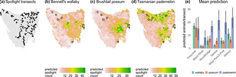 Distribution Of A Spotlight Transect Surveys Bd Species