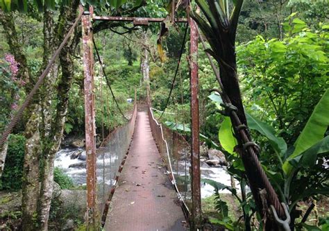 Cloud Forest Hiking In Boquete Panama