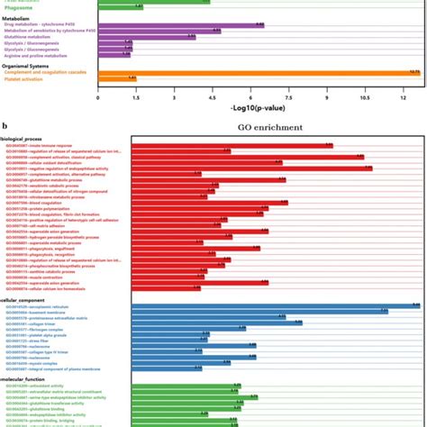 Functional Classifications Based On Pathway Enrichment Analysis Of