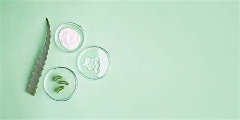 화장품 젤과 알로에 베라 조각이 들어있는 페트리 접시 위의 사진 유기농 화장품 개념 큰 배너 메이크업 화장품에 대한 스톡 사진 및 기타 이미지 Istock