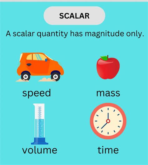 Ghulam Mustafa On Linkedin Scalars Definition Examples And Applications
