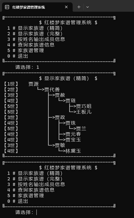 C红楼梦家谱系统 2024 05 31 Csdn博客