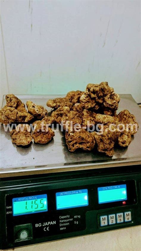 Thracian Truffles Опитайте нашите Ръчно приготвените шоколадови бонбони с истински парченца