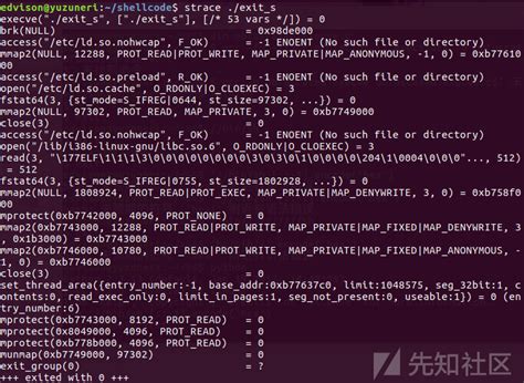 Linux下shellcode的编写 lsgxeva 博客园