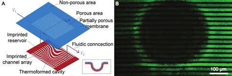 3 A Schematic Representation Of The Different Layers Of The 3d