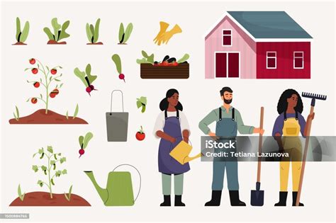 농부와 농작물 유기농 식물과 도구가 있는 농장에서 일하는 만화 캐릭터 정원 가꾸기 및 농업 토양 작업 개념 일하는 농장 노동자