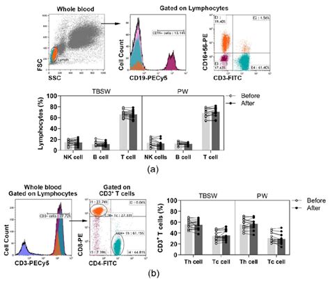 The Distribution Of Peripheral Lymphocyte Subsets In Young Women Before Download Scientific