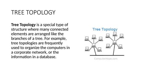 495638763 Computer Network Topology Ppt For Thursdaypptx