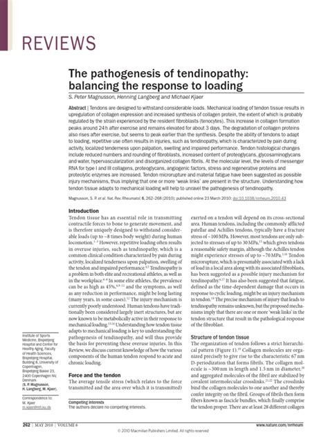 The Pathogenesis Of Tendinopathy Balancing The Response To Loading Pdf Tendon Collagen