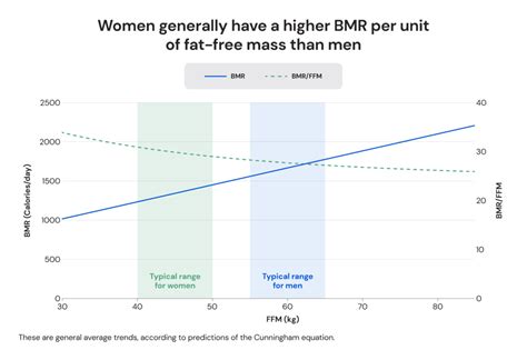 The Impact Of Sex On Basal Metabolic Rate Macrofactor