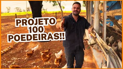 Como Montar Um Projeto De 100 Galinhas Caipiras Passo A Passo Galpão