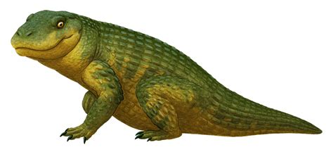 Simosuchus Clarki A Terrestrial Crocodylomorph Nix Draws Stuff