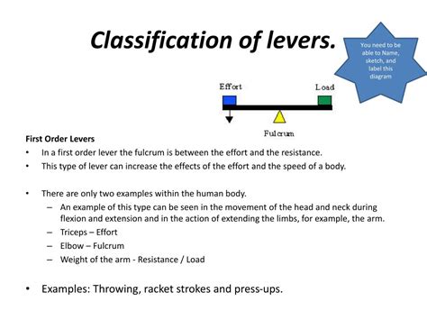 Ppt What You Need To Know Powerpoint Presentation Free Download