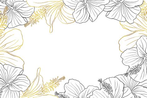 카드 결혼식 초대장 스크랩북의 디자인을 위한 히비스커스 꽃 프레임 보더 라인 아트 검은 잉크와 황금 손으로 그린 열대 꽃 배경 0명에 대한 스톡 벡터 아트 및 기타 이미지