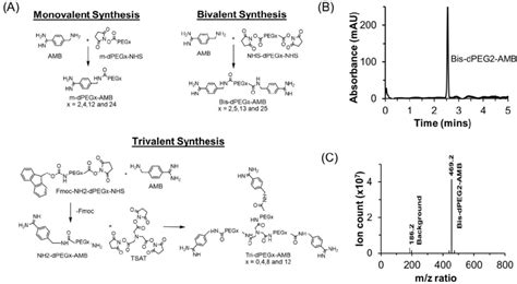 A Scheme For Monovalent Bivalent And Trivalent Benzamidine
