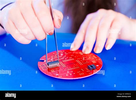 The Girl With The PCB Stock Photo Alamy