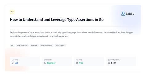 How To Understand And Leverage Type Assertions In Go Labex