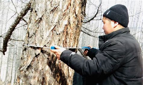 Ойн газар Засгийн газрын хэрэгжүүлэгч агентлаг