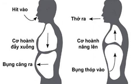 12 Bài Tập Dịch Cân Kinh Cơ Bản Điều Hòa Hơi Thở Nâng Cao Sức Khỏe Để