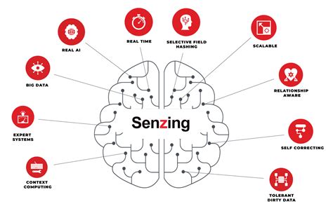 Senzing The First Real Time Plug N Play Ai For Entity Resolution