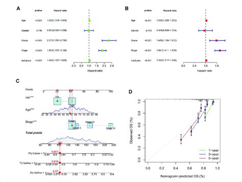 Risk Score As An Independent Prognostic Factor And The Construction Of