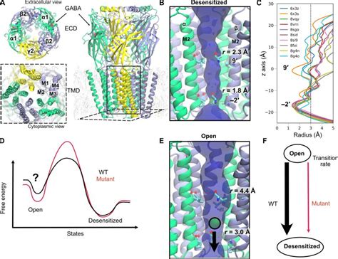 Can Advanced Simulation Methods Predict Experimentally Unseen