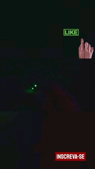 Achados De Darwin No Brasil Youtube