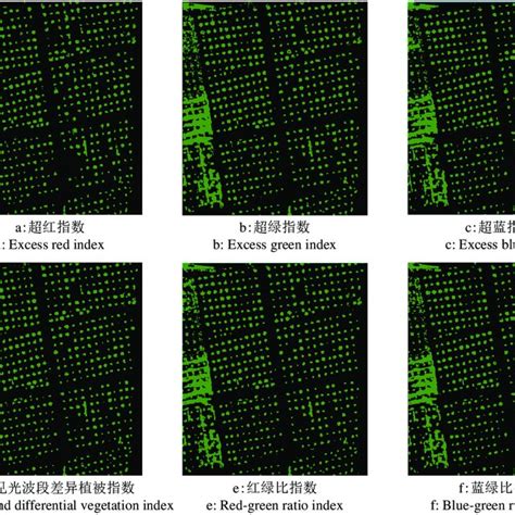 Extraction Results Of Six Visible Light Vegetation Indexes Combined
