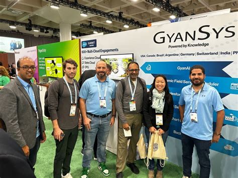 Salesforce Df24 Gyansys Inc