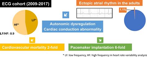 The Presence Of Ectopic Atrial Rhythm Predicts Adverse Cardiovascular Outcomes In A Large