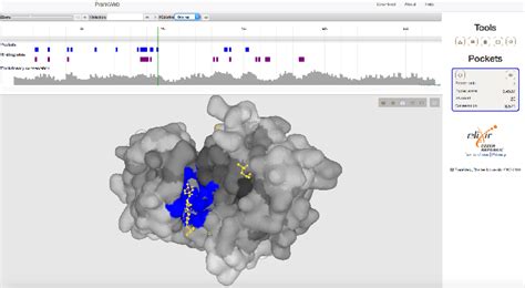An Example Of Prankweb Output The Figure Shows A Prediction Of Ligand