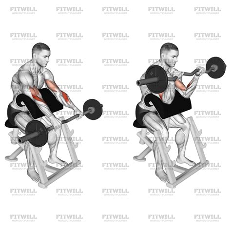 Ez Barbell Reverse Grip Preacher Curl Exercise Guide Video Techniques Benefits How To